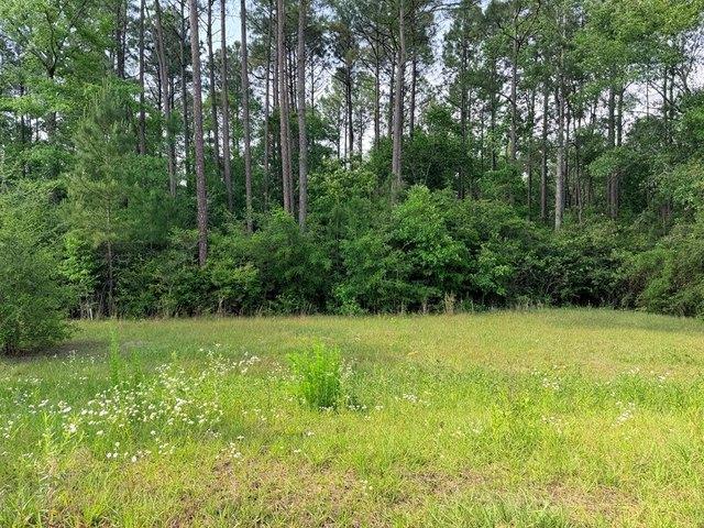 Nhn Moss Cir, Carriere, MS 39426