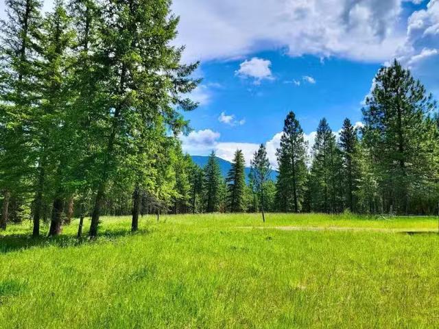 Nhn Mc Kenna Lane, Trout Creek, MT 59874 647941262