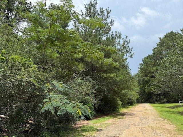 Nhn Misty Ln, Lumberton, MS 39455