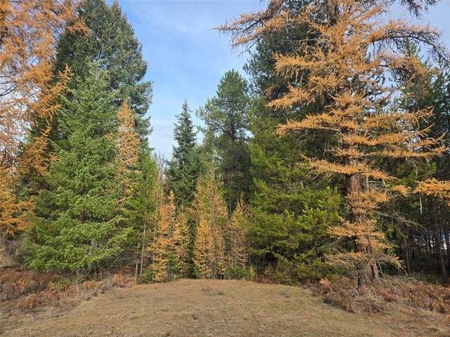 Nhn MT Highway 200, Trout Creek, MT 59874