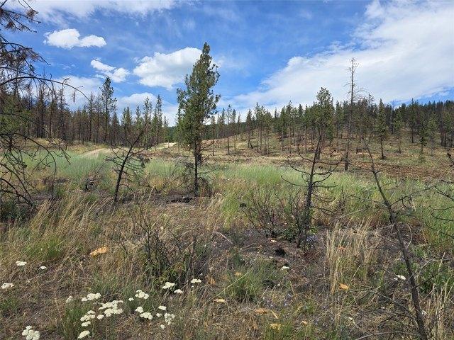 Nhn MT Highway 28, Plains, MT 59859