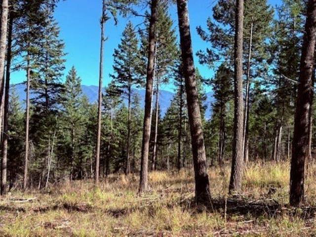 Nhn Soaring Eagle Dr, Whitefish, MT 59937