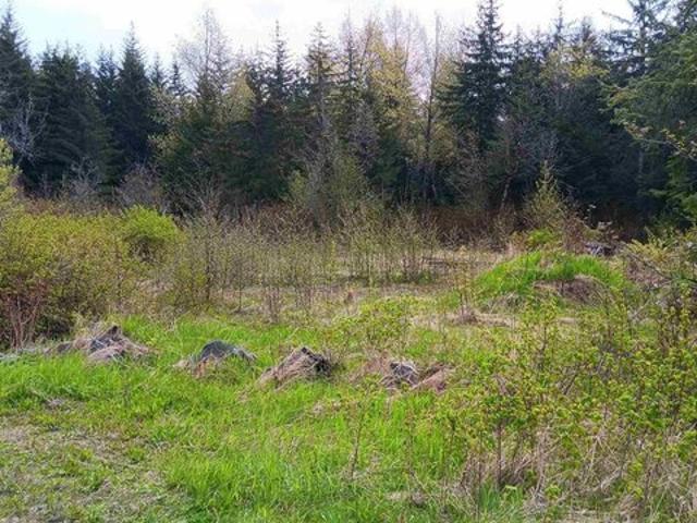Nhn Sawmill Creek Rd, Haines, AK 99801
