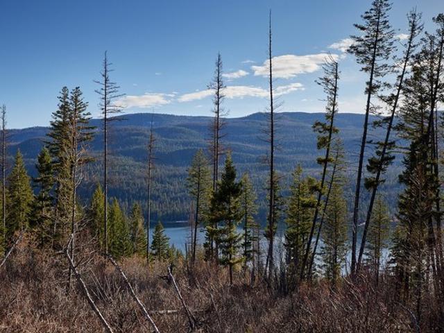 Nhn Swan Lk, Bigfork, MT 59911