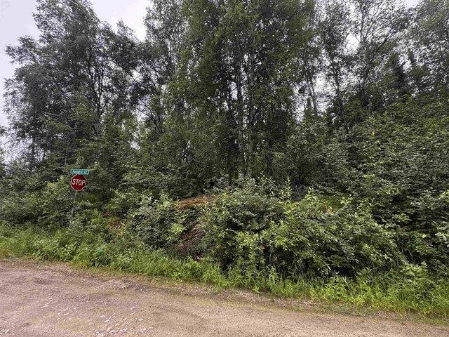Nhn Pinehurst Ct Lot 40, Fairbanks, AK 99712