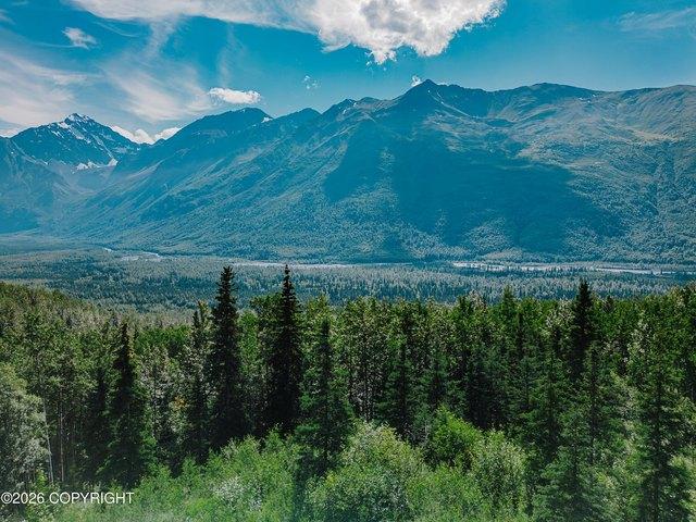 Nhn Prudhoe Bay Ave, Eagle River, AK 99577