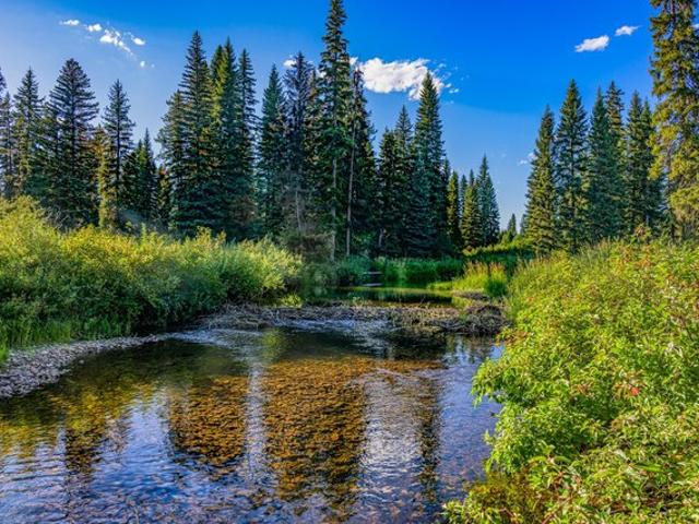 Nhn Route 83, Seeley Lake, MT 59868