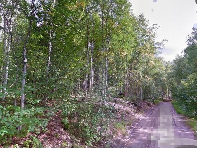 Nhn Reconstruction Rd Lot 25, Fairbanks, AK 99709
