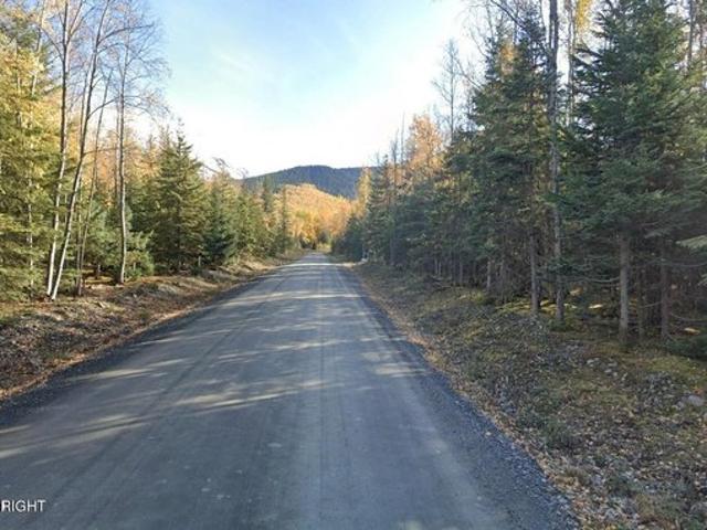 Nhn Resurrection Creek Rd, Hope, AK 99605