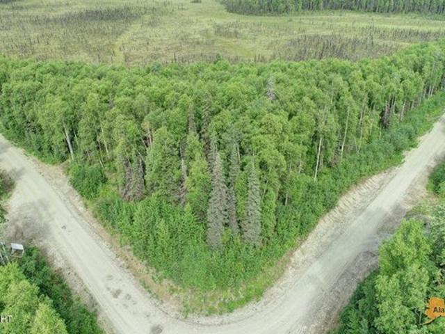 Nhn W Tuxedo Ave, Willow, AK 99688