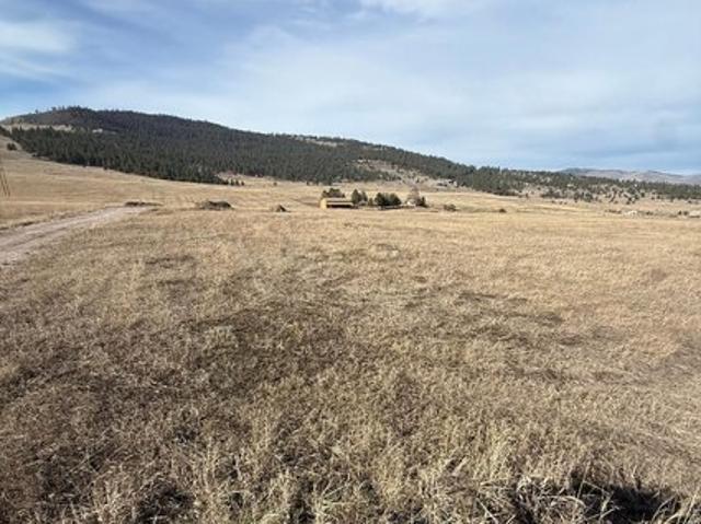 Nhn Walking Horse Ln, Big Arm, MT 59910