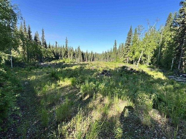 Nhn Terrace Dr Lot 126, Fairbanks, AK 99712
