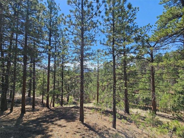 Nhn Upper Sawmill Creek Rd, Cascade, MT 59421