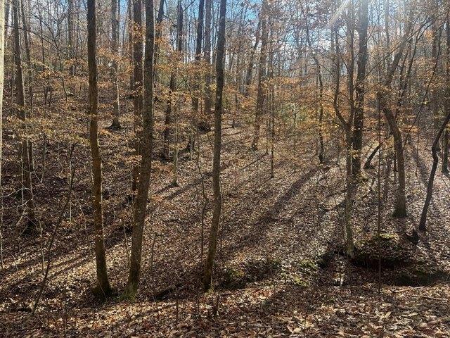 Nimrod Ct Lot 2750, Ellijay, GA 30540