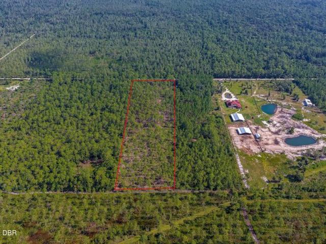 Ninemile Point Rd, Pierson, FL 32180
