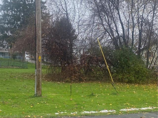 Niagara Avenue