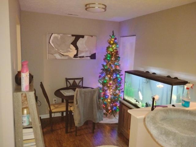 Nice apartment