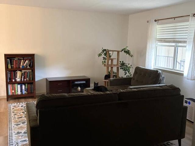 Nice quiet room for rent