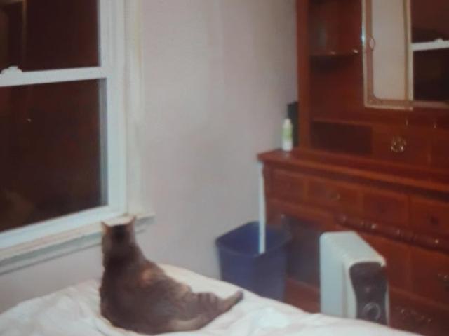 Nice room