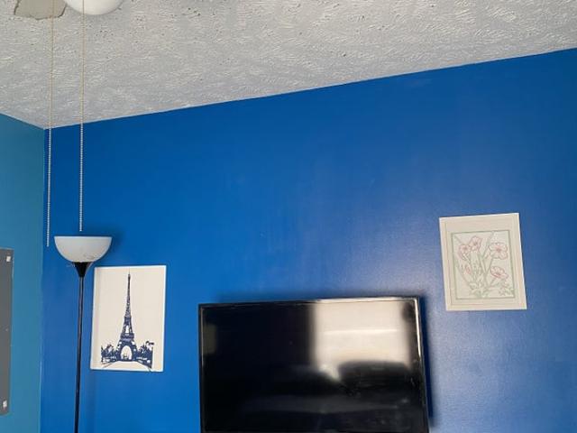 Nice room available now