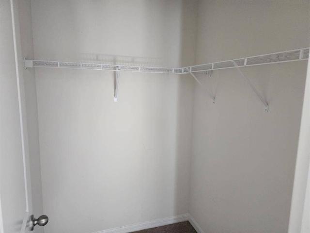 Nice room for rent