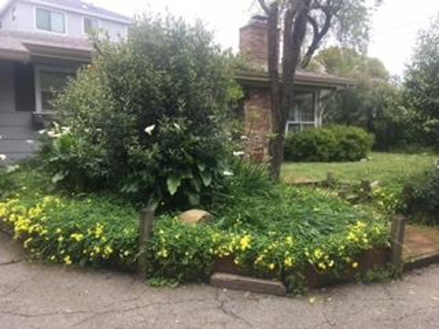 Nice single BR in large shared home