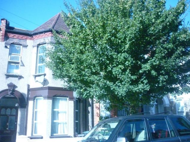 Nice spacious 2 3 bed flat