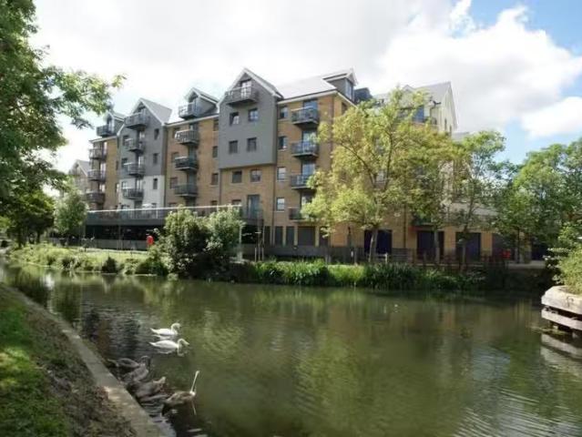 Rental! 1 BA 1 bedroom apartment for rent in Riverside, Bishop.