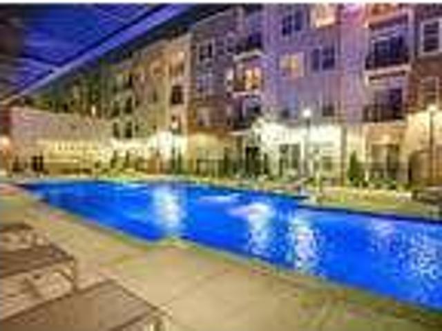 Nice 1 Bd 1 Ba $1545/month