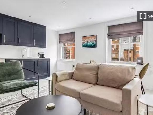 New 1 BR 1 bedroom apartment for rent in London