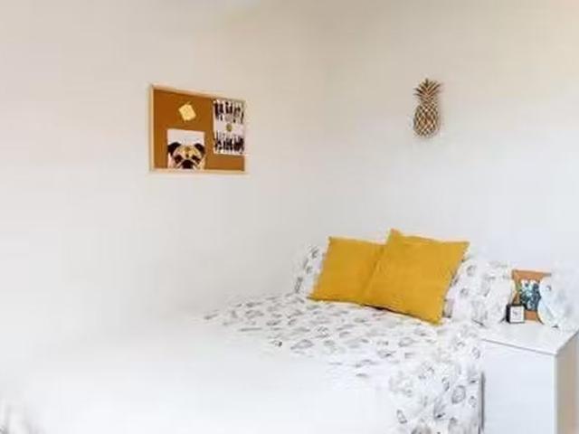 New 1 BR Haigh Court Standard Ensuite