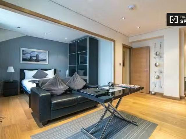 Charming 1 BR Stylish studio flat to rent in City of London, L.