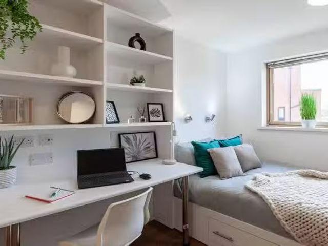 Cheap 1 BR Ruby Studio