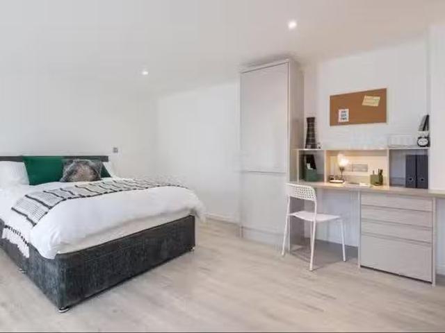 Cozy 1 BR Verney Street Studios Gold Studio