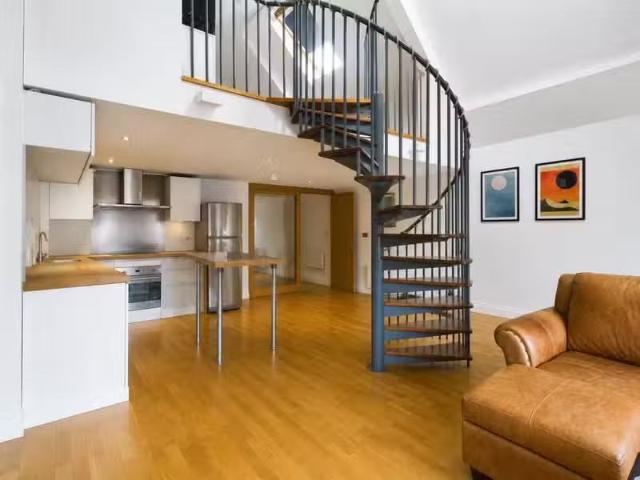 Cozy 2 BA 1 bedroom apartment for rent in Argus Lofts, Robert.