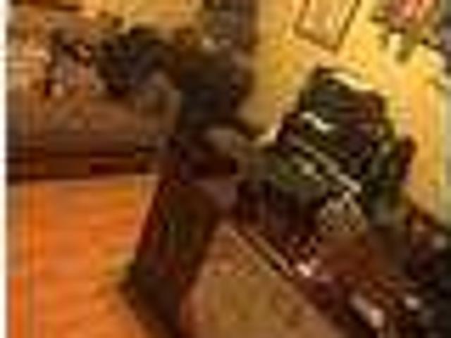 Nice 3 Bedroom 2 Bath Ranch