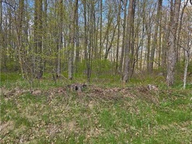 Nicholas St, Grand Rapids, MN 55744