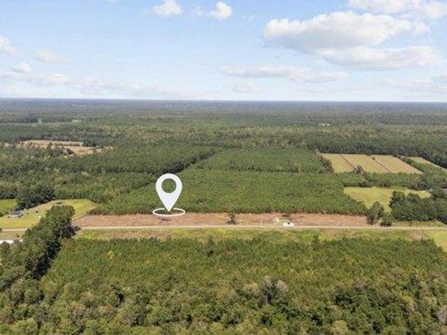 Nichols SC 29581 89583169