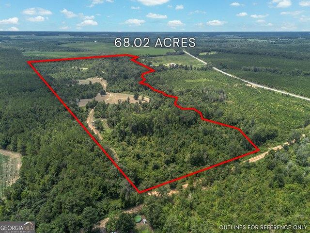 Nicholson Carr Rd, Chester, GA 31012