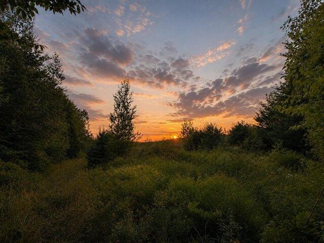 Nick Nate Dr, Cornish, Plot For Sale