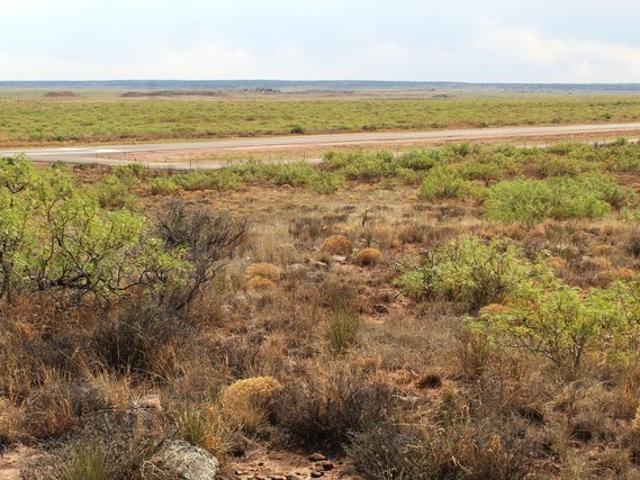 Nickel Ln Lot 25 26, Conchas Dam, NM 88416