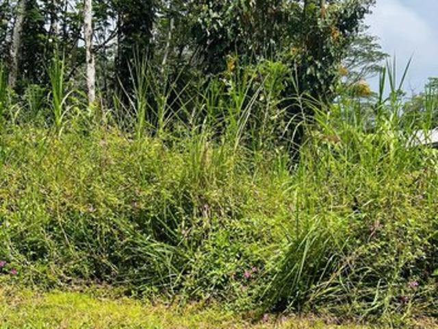 Niihau Rd, Pahoa, HI 96778