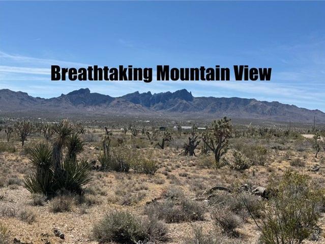 327 04 Niles Dr, Dolan Springs, AZ 86441