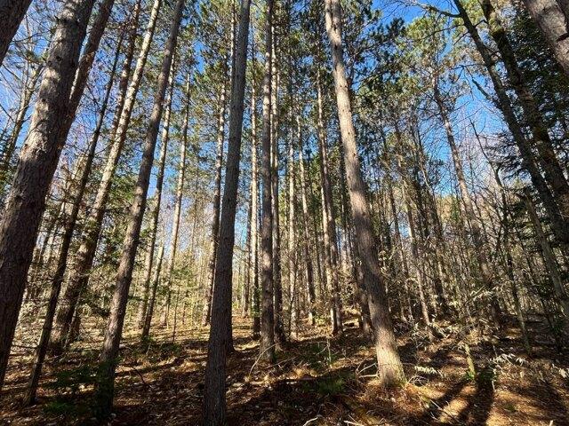 Niles Rd Lot E, Dickinson Center, Plot For Sale