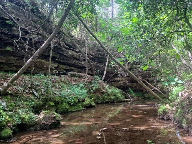 Nix Rd, Nauvoo, AL 35578