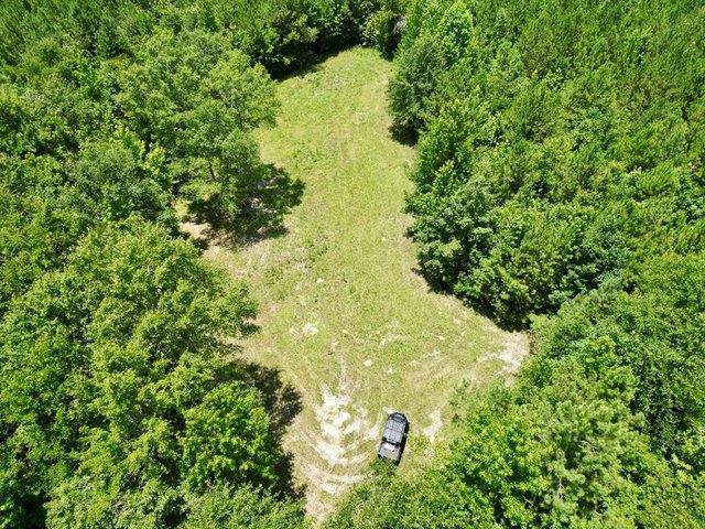 Nixon Rd, Georgiana, AL 36033