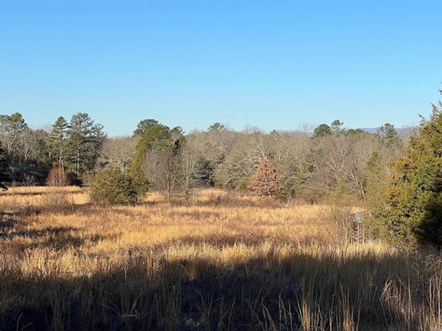 No 911 Elm St, Waldron, AR 72958