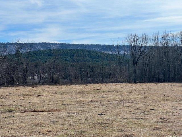 No 911 Weeks Rd, Waldron, AR 72958