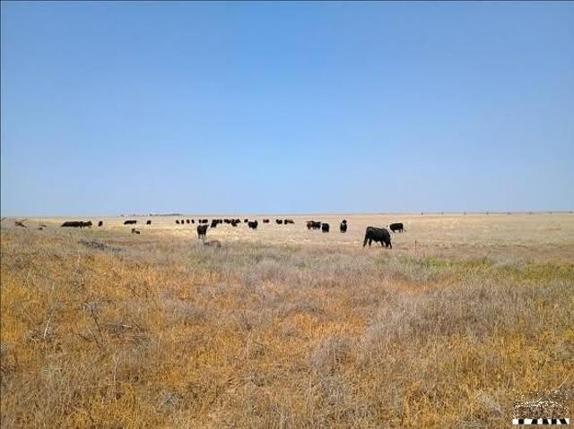 160 Acre County Road M, Walsh, CO 81090