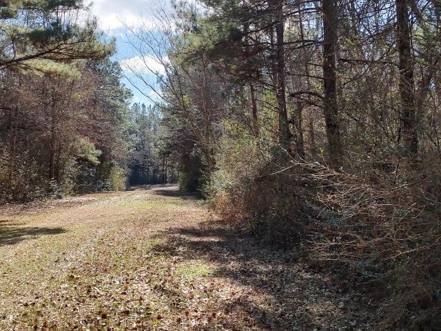 No Pecan Dr, Lumberton, MS 39455 | MLS #4100
